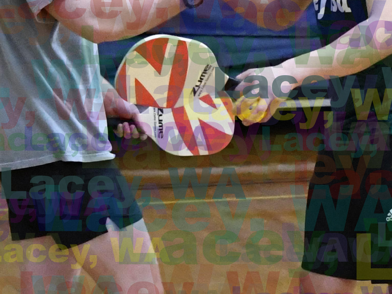 Lacey Pickleball Courts & Local Community